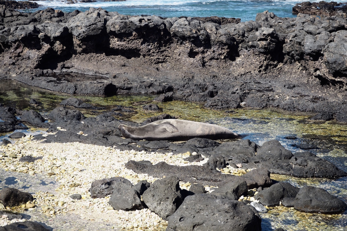 10 Things to do in Oahu, Hawaii | Wolf & Stag » Wolf & Stag